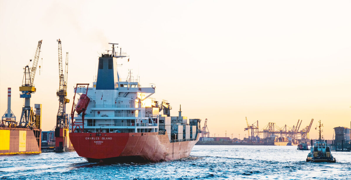 Fox Logistics – La passione che ci muove